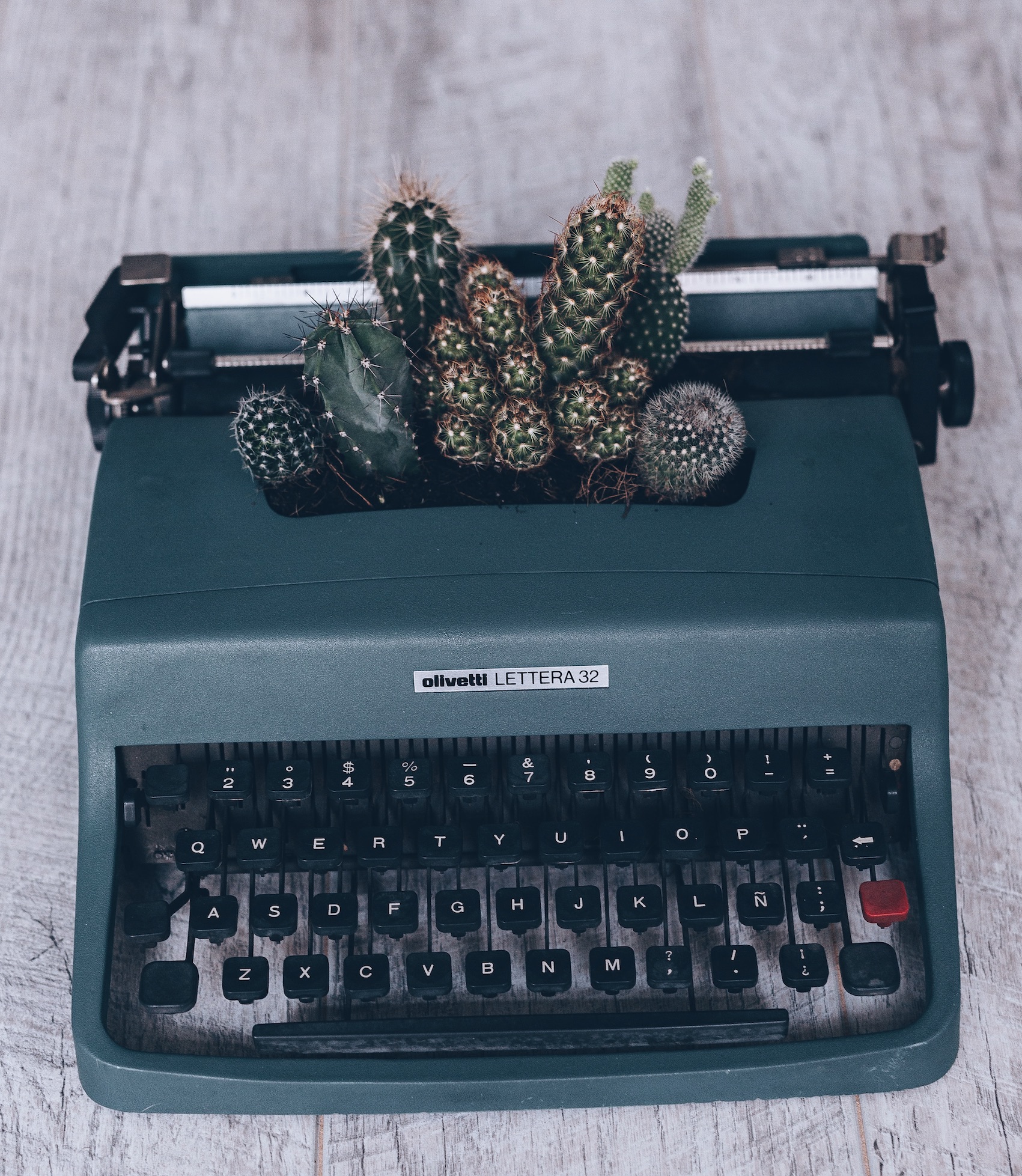 Cactus-in-the-typewriter-1 - ViaTyping